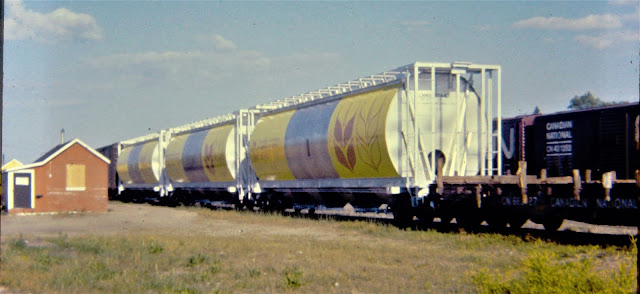 Trackside Treasure: Canada's Grain Fleet - Covered Hoppers