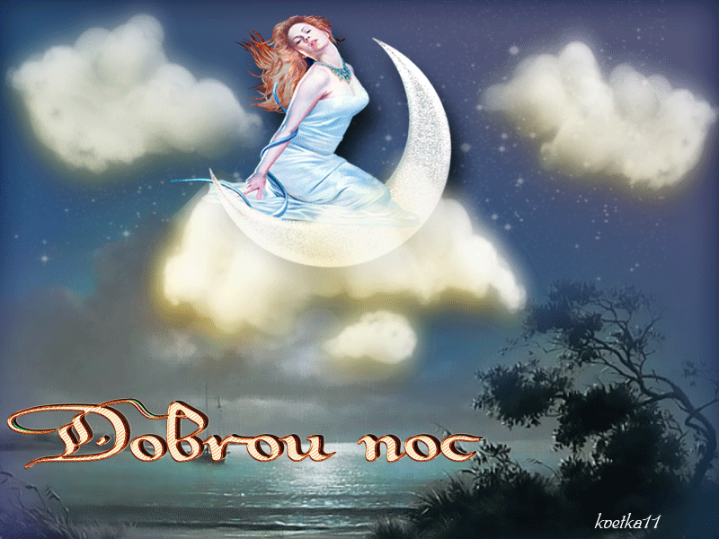 kvetka11: července 2017