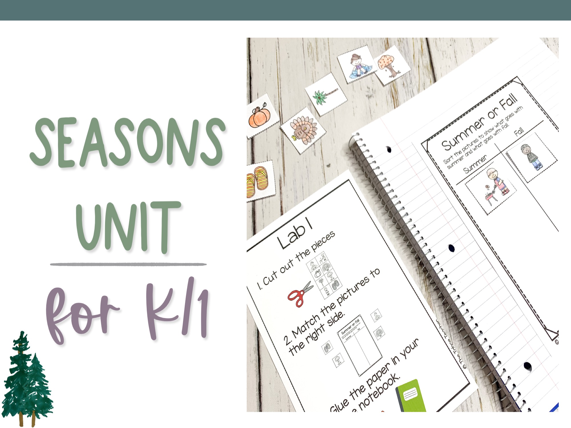 Seasons Science Unit | The Tahoe Teacher