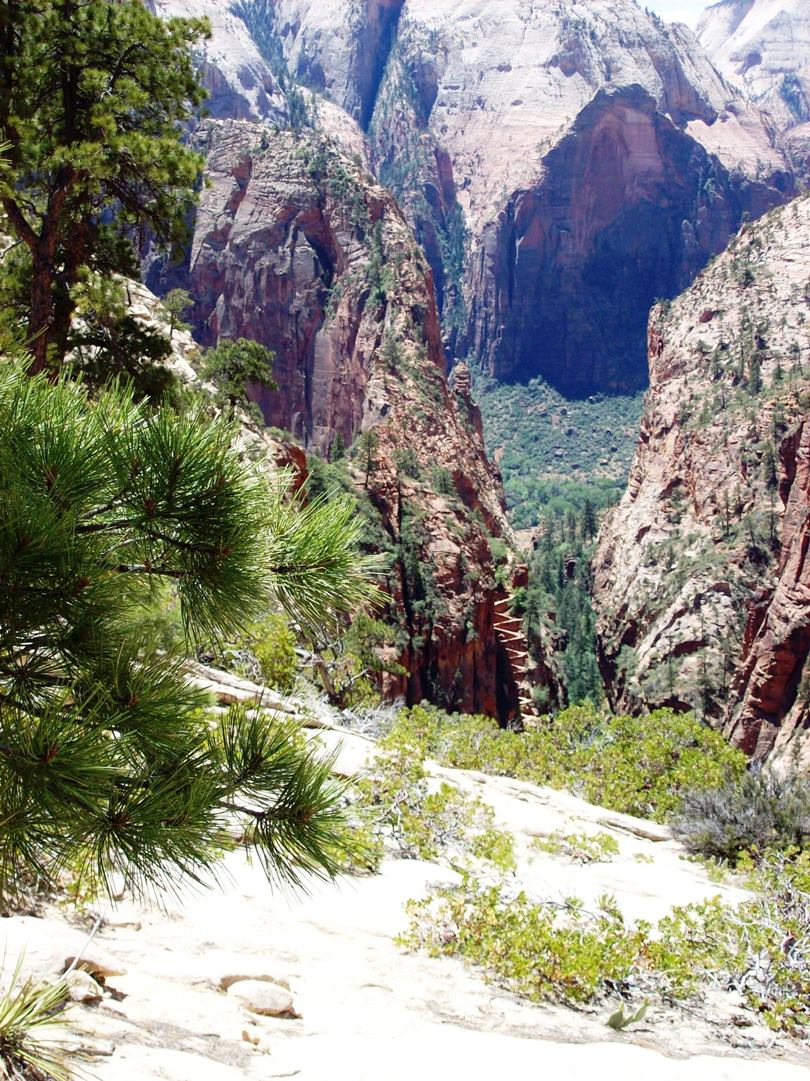 Walter’s Wiggles on Angels Landing Trail, Utah