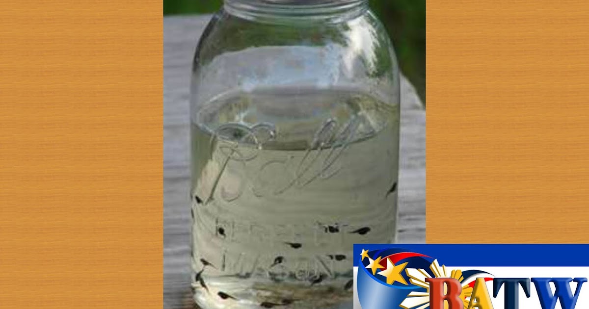 Batangueño Around The World: Ulo-ulo