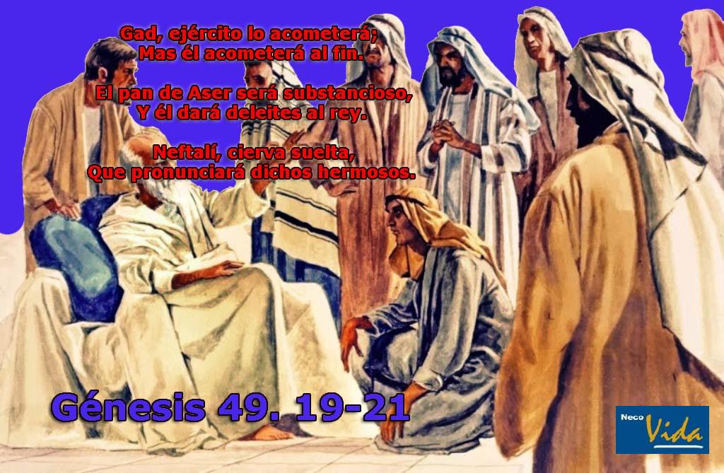 Neco Vida: Leyendo... Génesis capítulo 49. 19 - 21