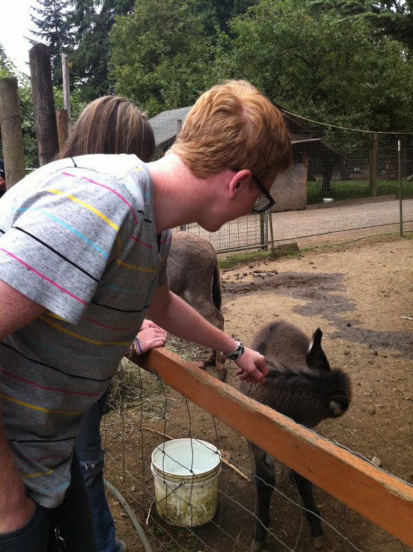 My Pacific Northwest: Kangaroo Zoo- Arlington 8/13
