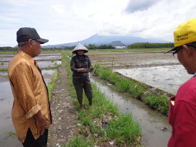 Tujuan Penyuluhan Pertanian - Nyuluh.com