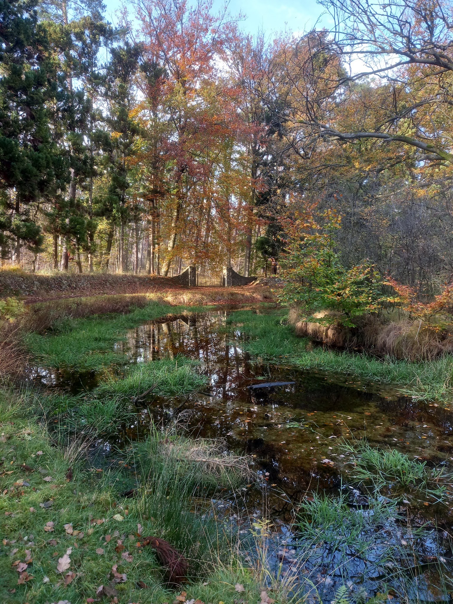 Walking Jeff: wandeling 2980 Zoersel: 14 km.