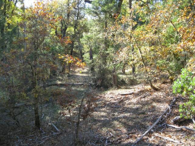 Hiking Sasquatch Country: Lake Selmac