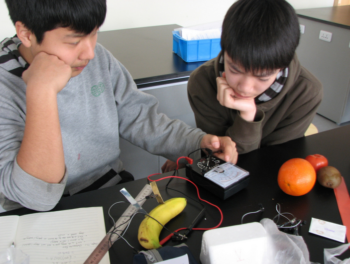 Fruity Battery! {A Quick, Easy Science Fair Project} - Hojo's Teaching