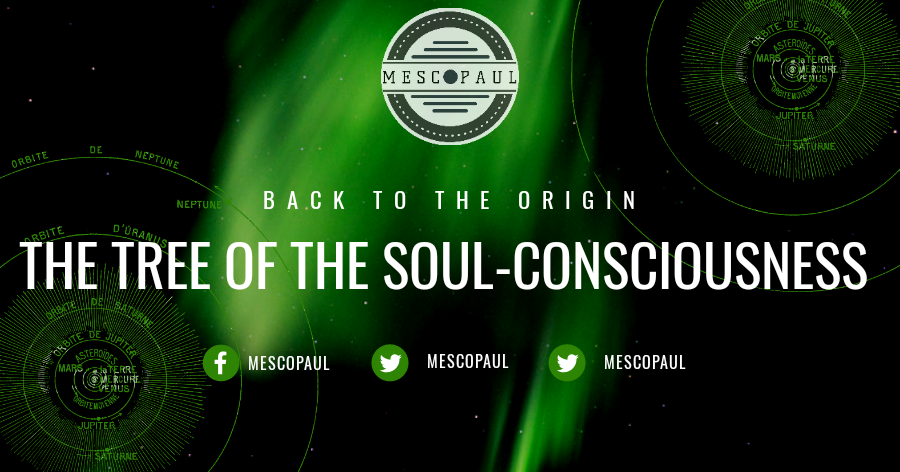 Back To The Origin: The Tree of The Soul-consciousness