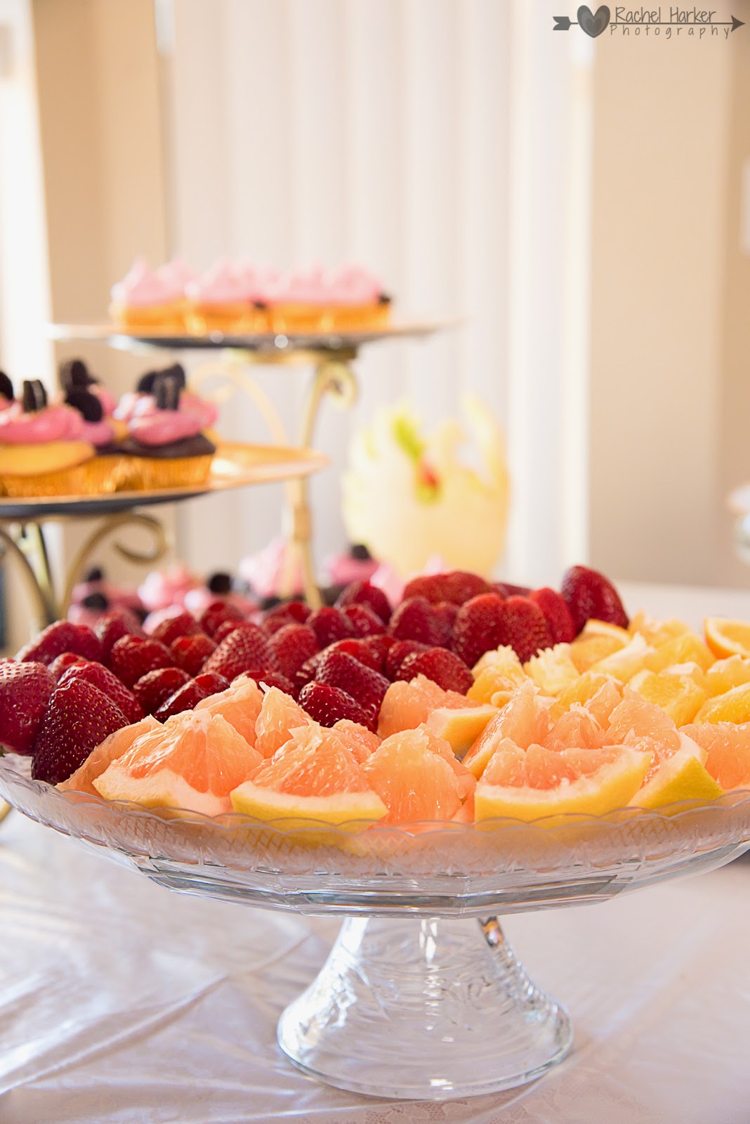 Rachel Harker Photography: Allison Bridal Shower 03-13-15