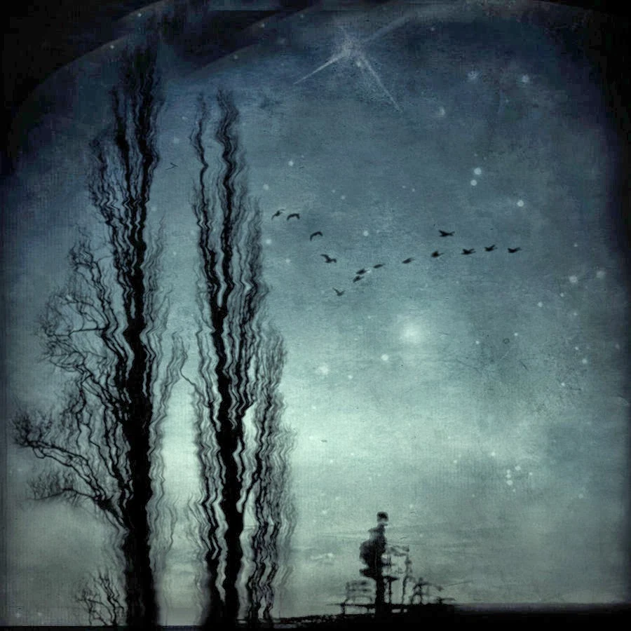 Anja Bührer | Surreal silhouettes | Tutt'Art@ Masters