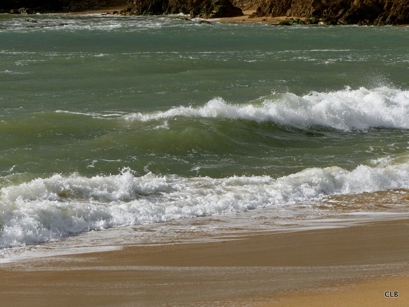 Le retour chez Canelle: Retour vers l'Ocean Le retour chez Canelle: Retour vers l'Ocean