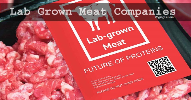 Lab Grown Meat Companies