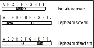 Change in Chromosome Structure: Structural Chromosomal Aberrations ...