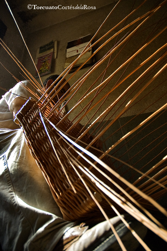 Naturaleza y Etnografía: Mimbre