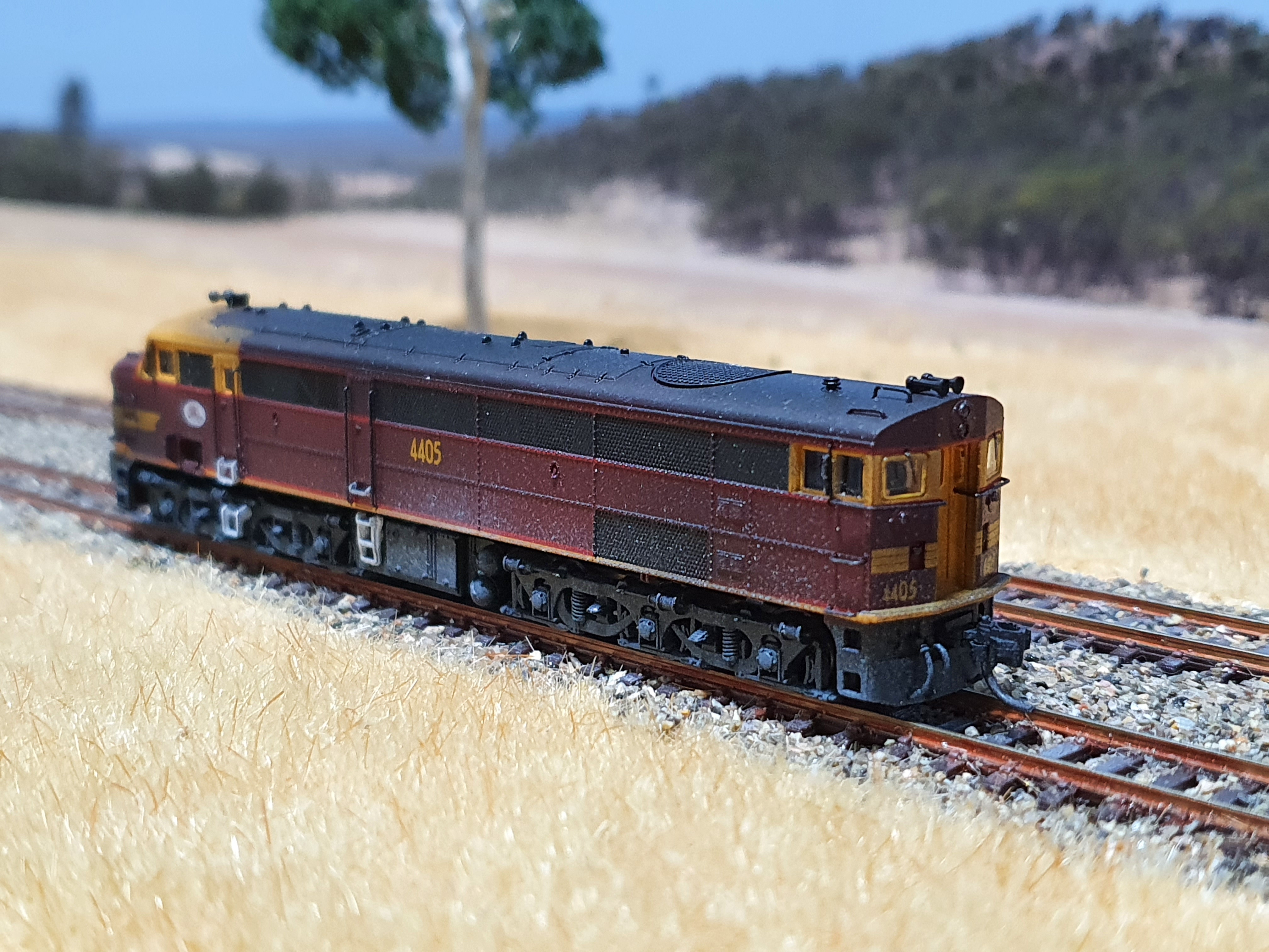 BRANCHING OUT NSWGR: May 2021