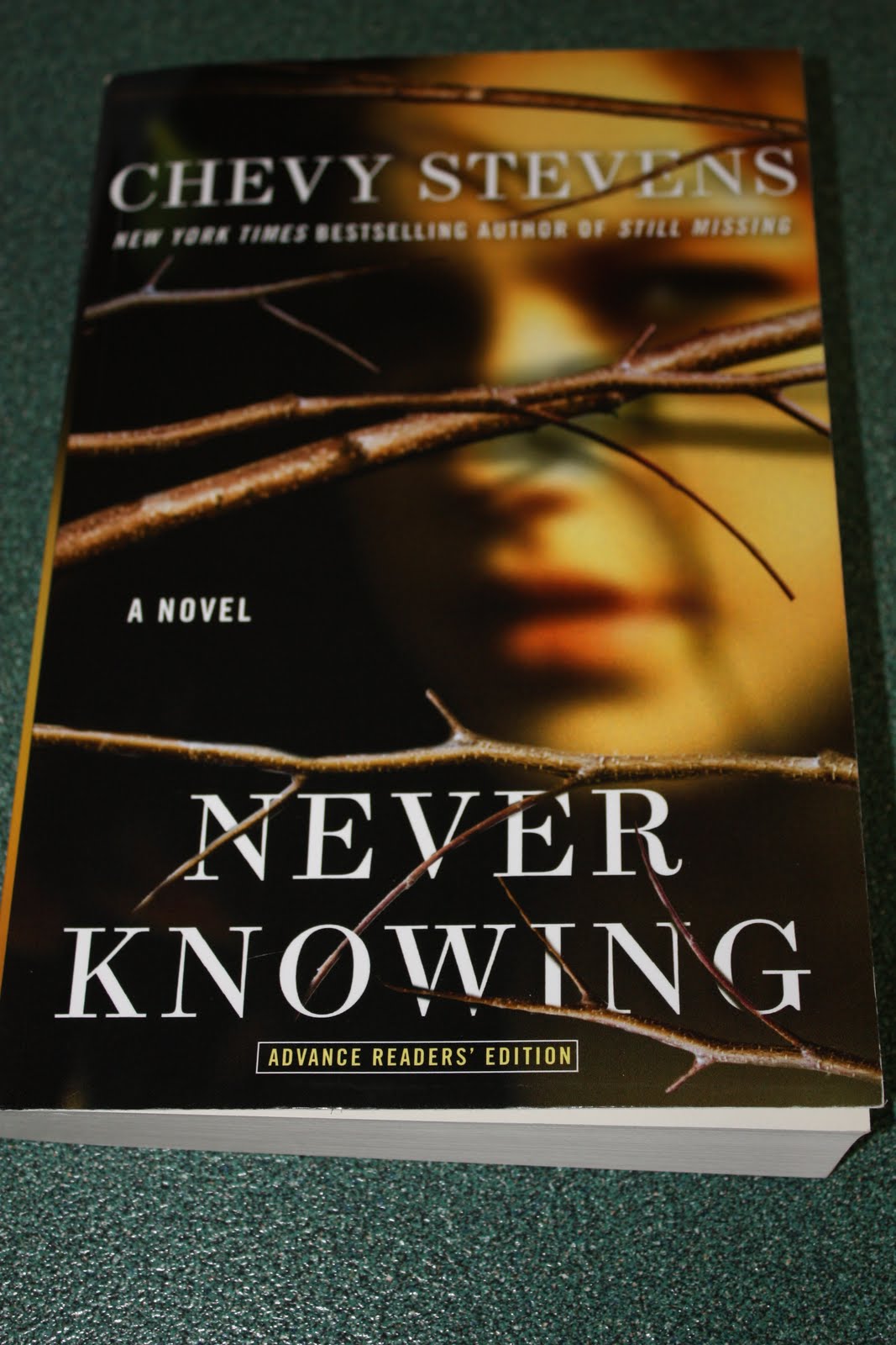 Carol Steel: Never Knowing by Chevy Stevens