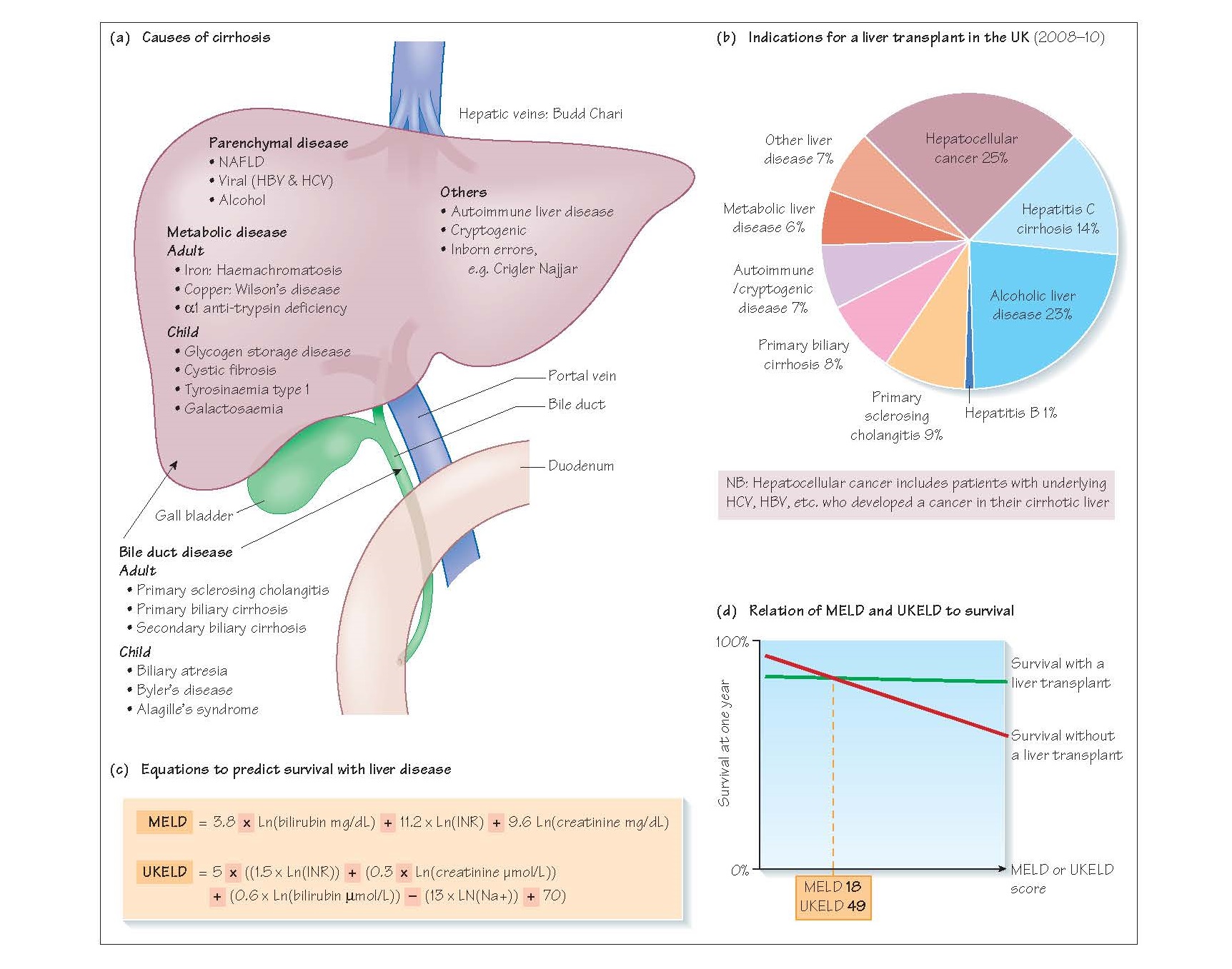 Causes Of Liver Failure - pediagenosis