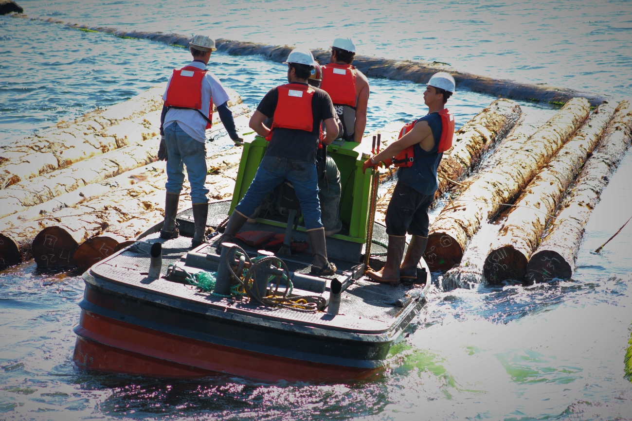 Tugboat Ride | Modern Mongolian