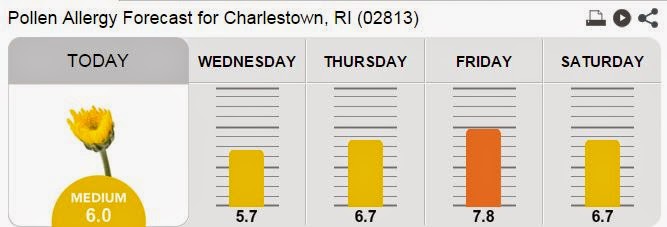 Progressive Charlestown: Yes, allergy sufferers, the pollen is back!