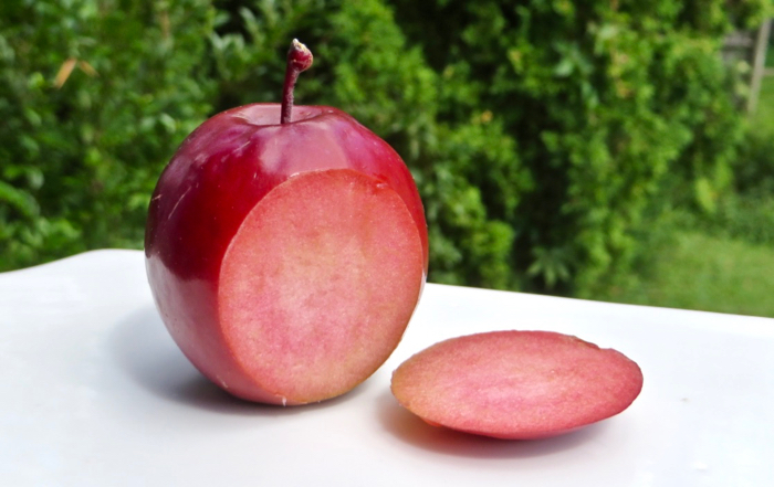 Firecracker (Bill's Red Flesh Crab) - Adam's Apples