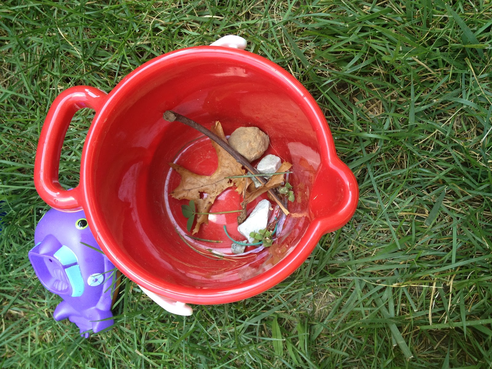 playing outside of the box: treasure hunt