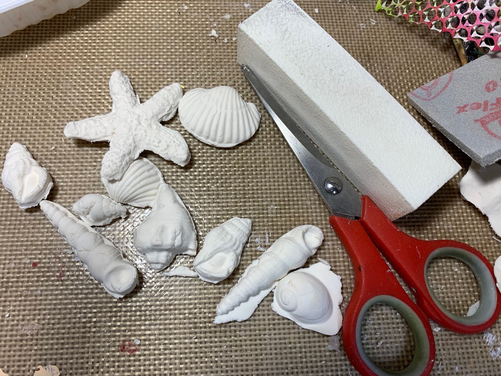 Creative Paperclay® air dry modeling material: Seaside Shells with ...