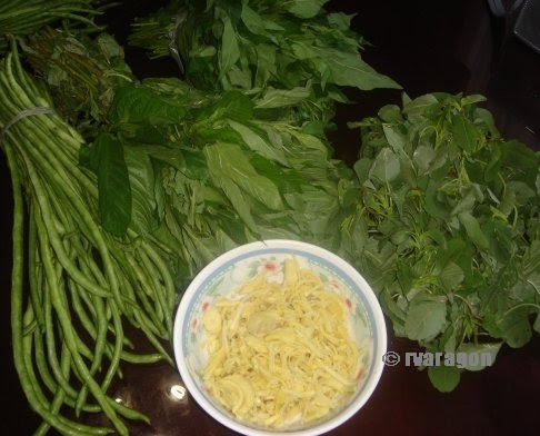 saluyot and rabong variation--with bulong-sili, kalunay and utong ...