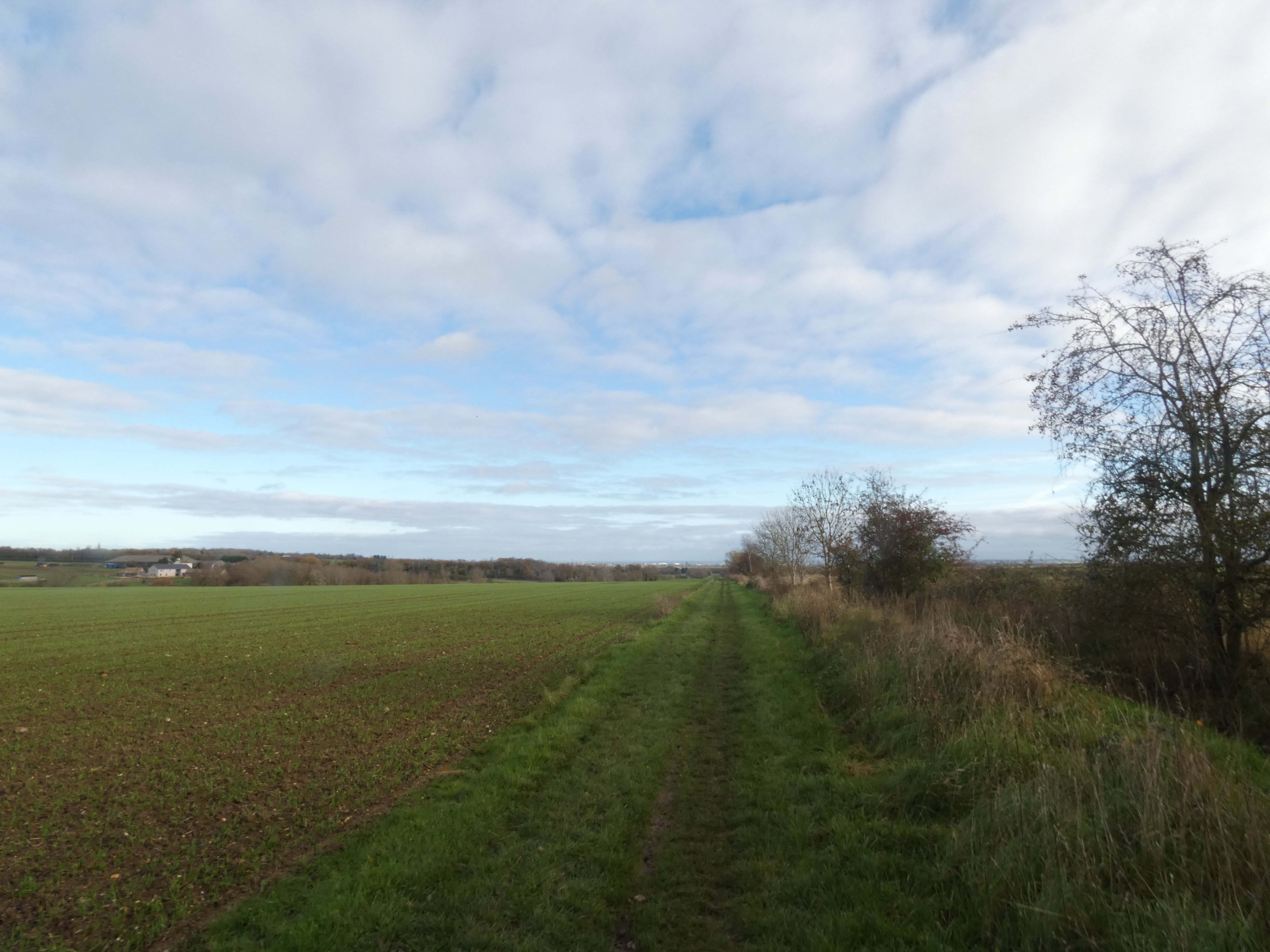 Boz North's Trail - Walking Blog: Whaddon to Cambridge via The Wimpole ...