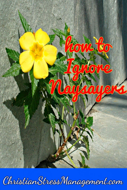 Christian Stress Management: How to Ignore Naysayers
