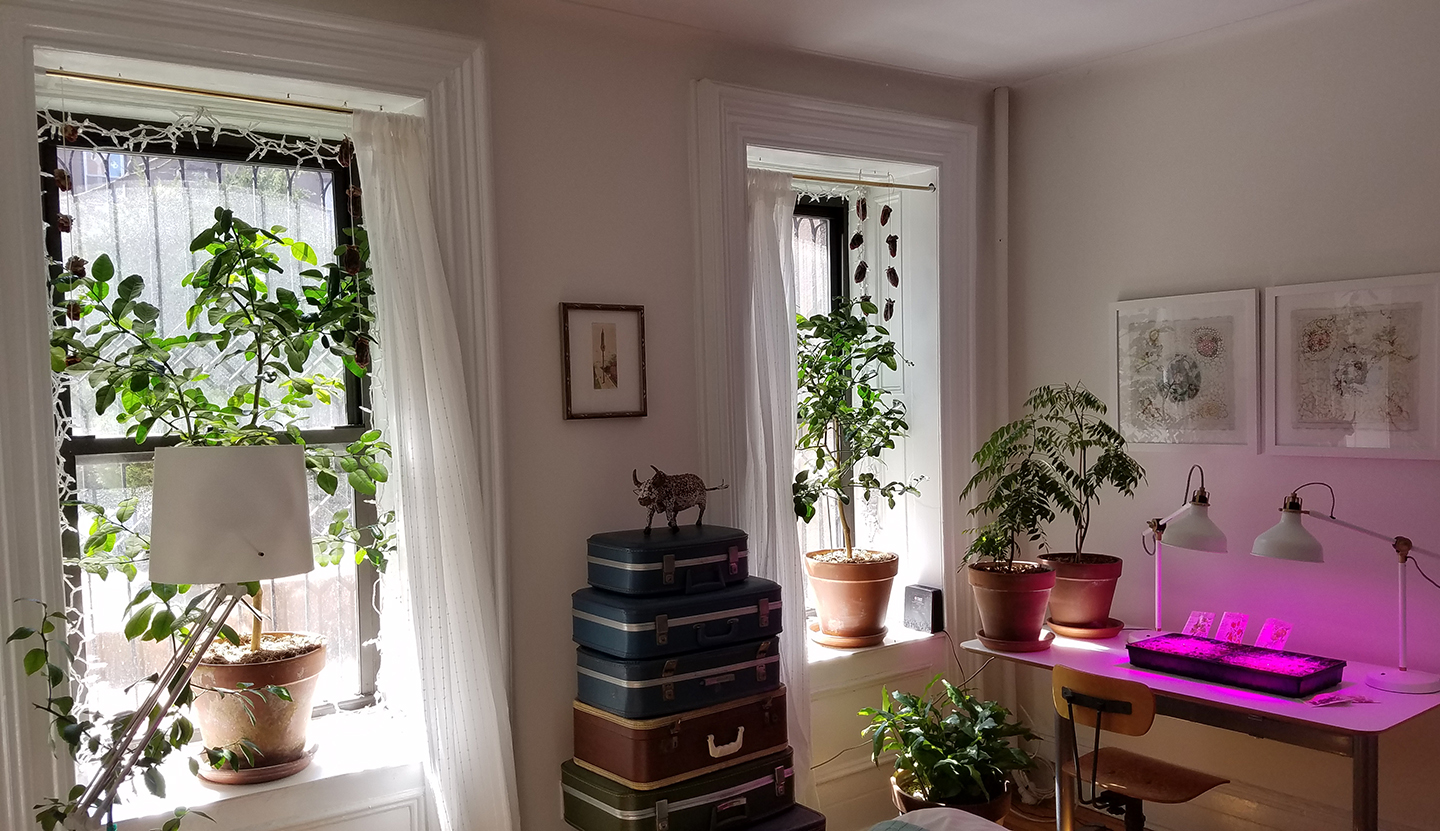 66 Square Feet (Plus): Life, indoors