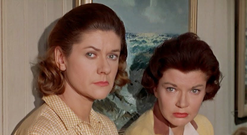 the passionate moviegoer: character counts: elizabeth wilson