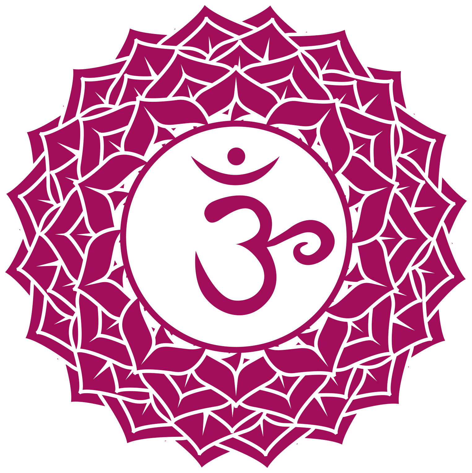 Introduction to Chakras and Energy Vortex ~ UNITED SPIRITUALITY