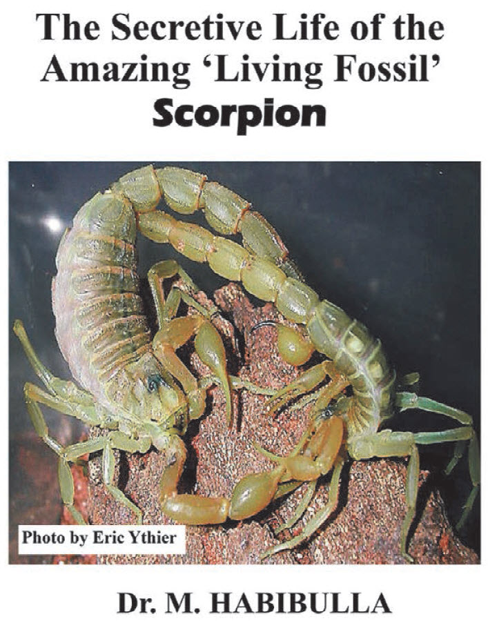 The Scorpion Files Newsblog: A new scorpion book has been published