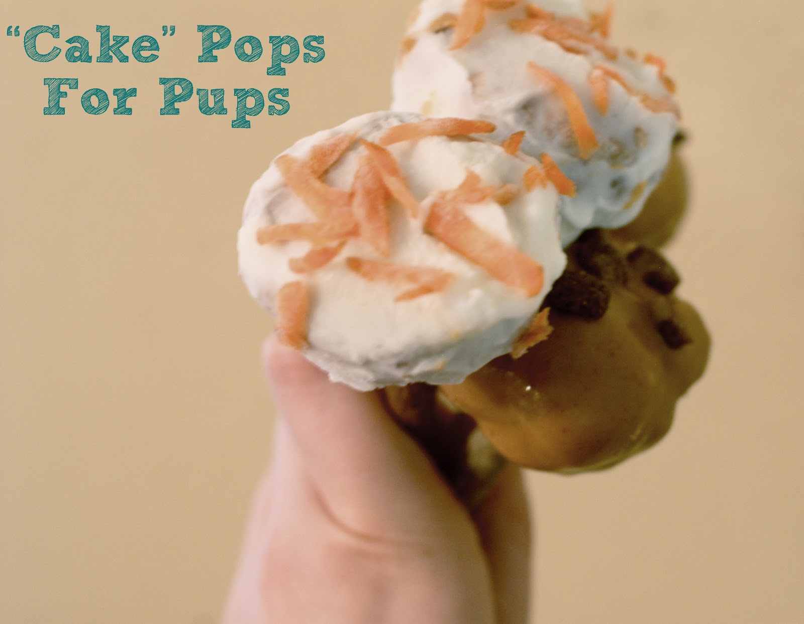 "Cake" Pops for Pups