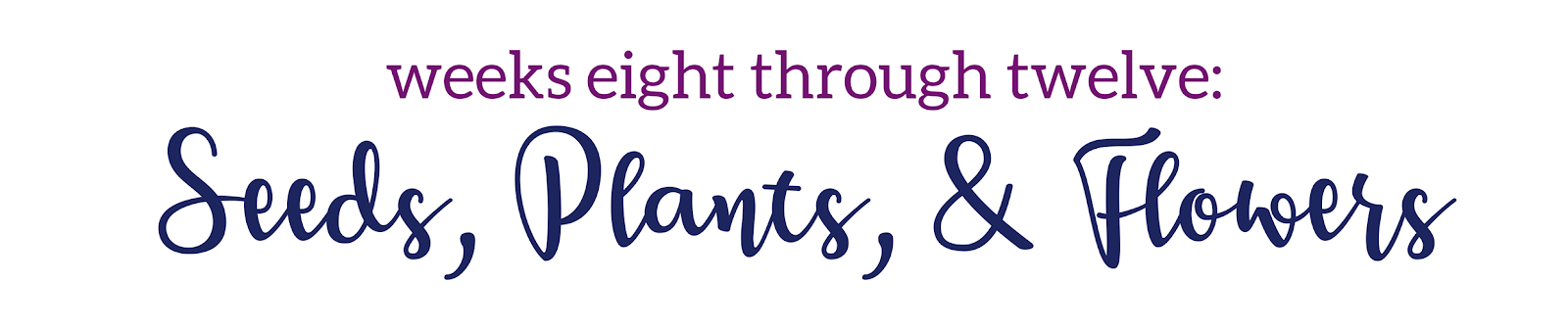 Classical Conversations Cycle One Usborne Book List | Buck & Chuck