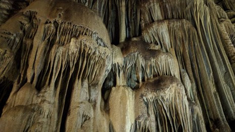 Life, Birding, Photos and Everything: Mammoth Cave National Park for All