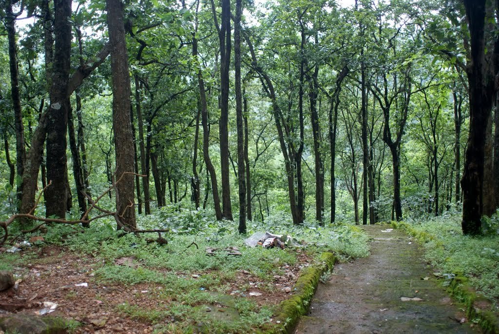 Jharkhand Forests ~ Siva Travelogue