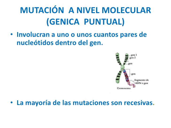 MUTACIONES GENÉTICAS: TIPOS DE MUTACIONES