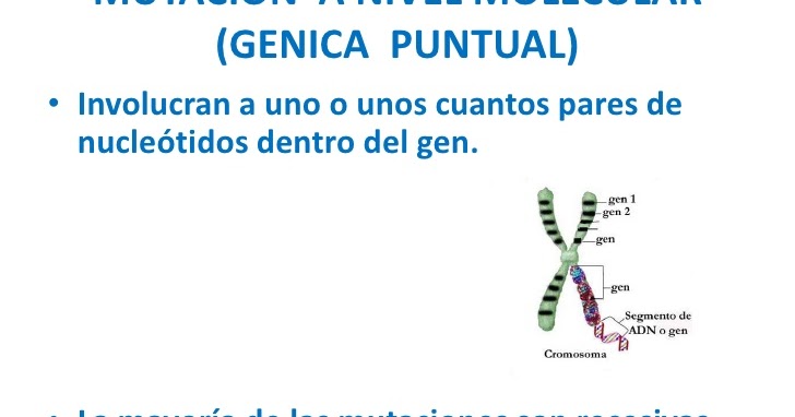 MUTACIONES GENÉTICAS: TIPOS DE MUTACIONES