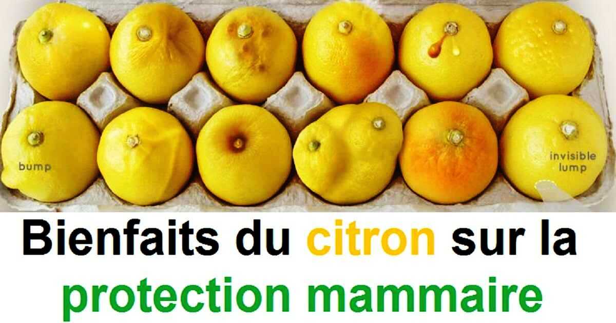 Les bienfaits du citron sur la protection mammaire ~ Sport et Santé