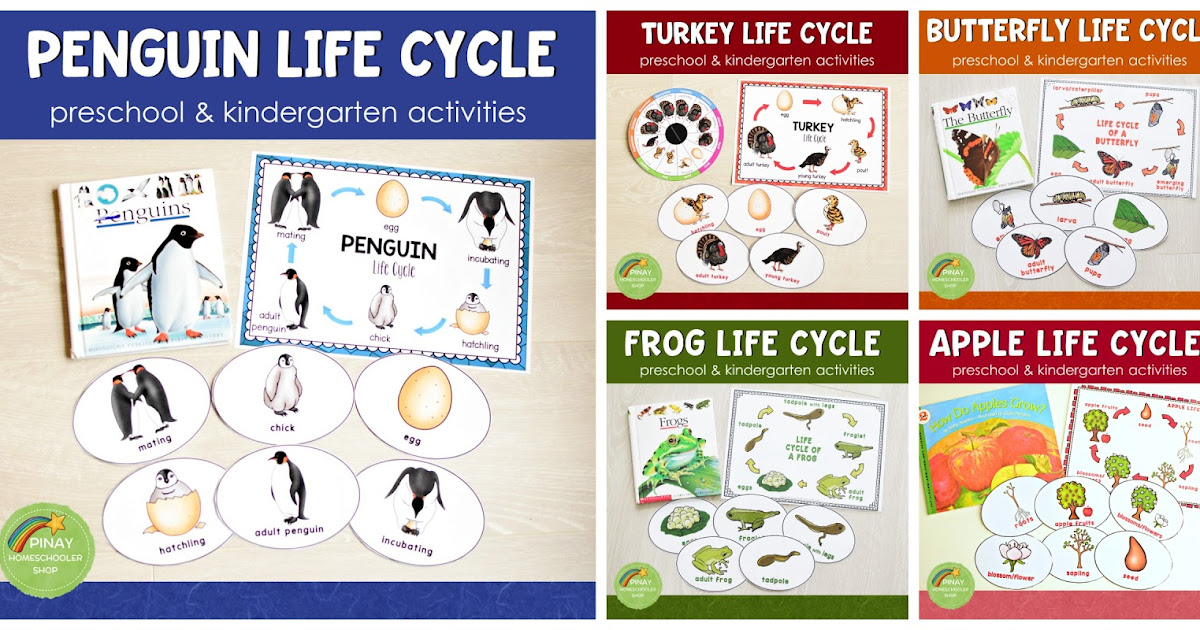 Life Cycle Learning Activity Packs | The Pinay Homeschooler