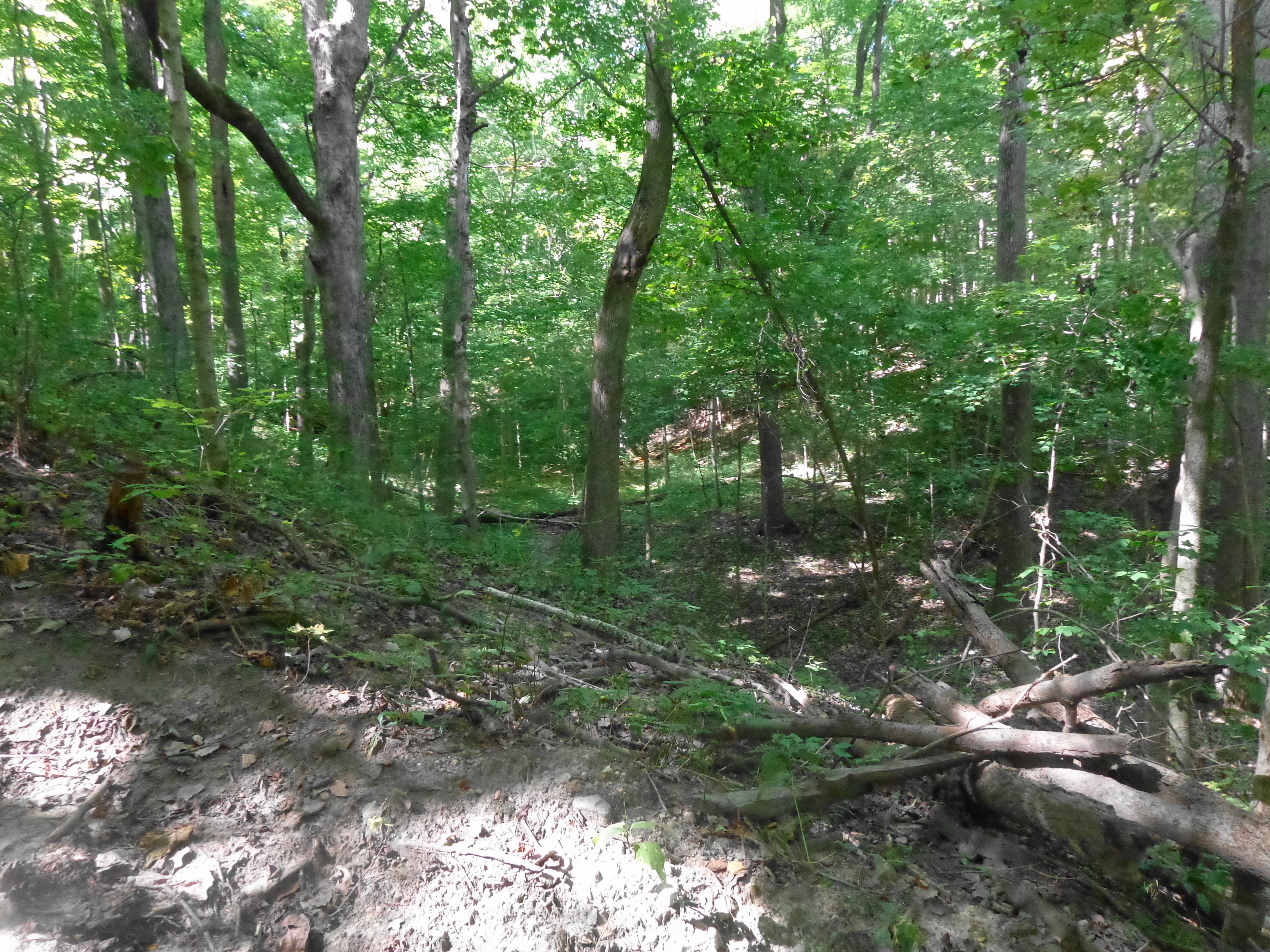 Tilting at Windmills: Misty's first Happy Boofus Day, and the perils of ...