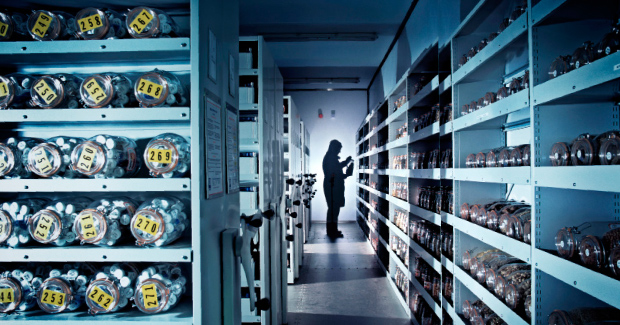 Temperate Climate Permaculture: Seed Banks