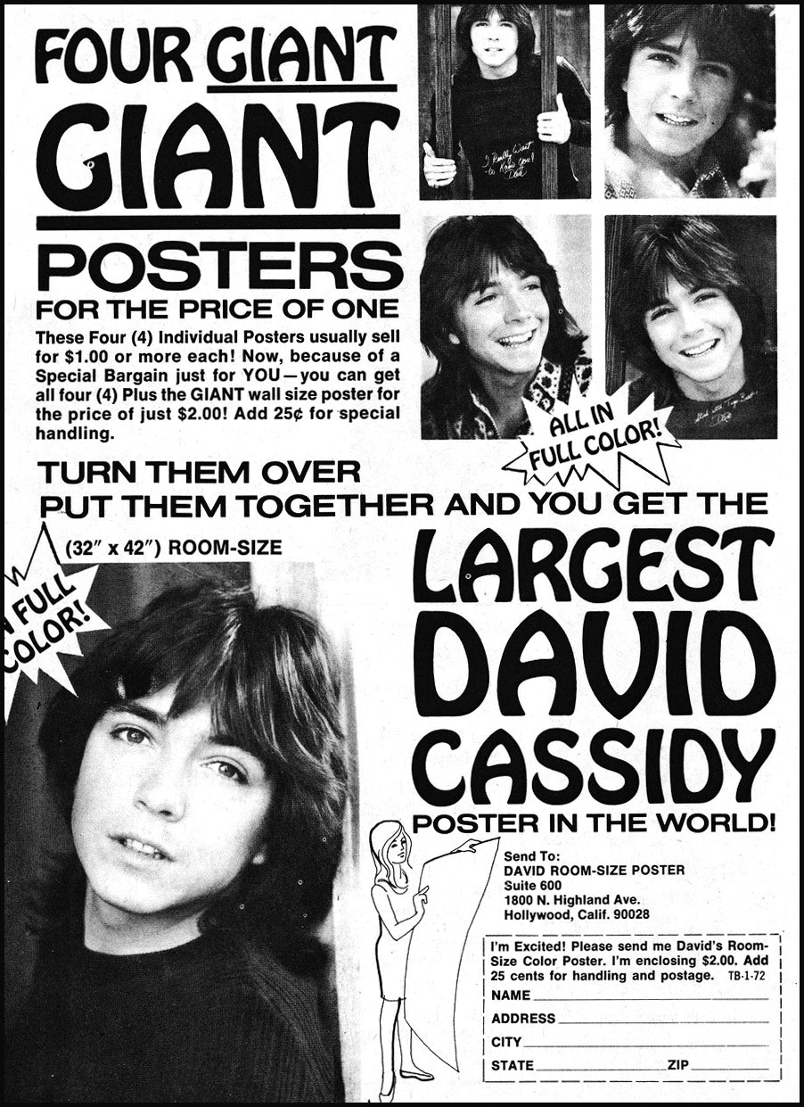 David Cassidy Life Size Poster