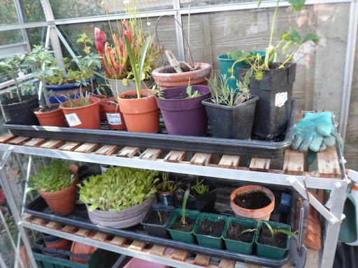 Poppy Patchwork: My tidy space