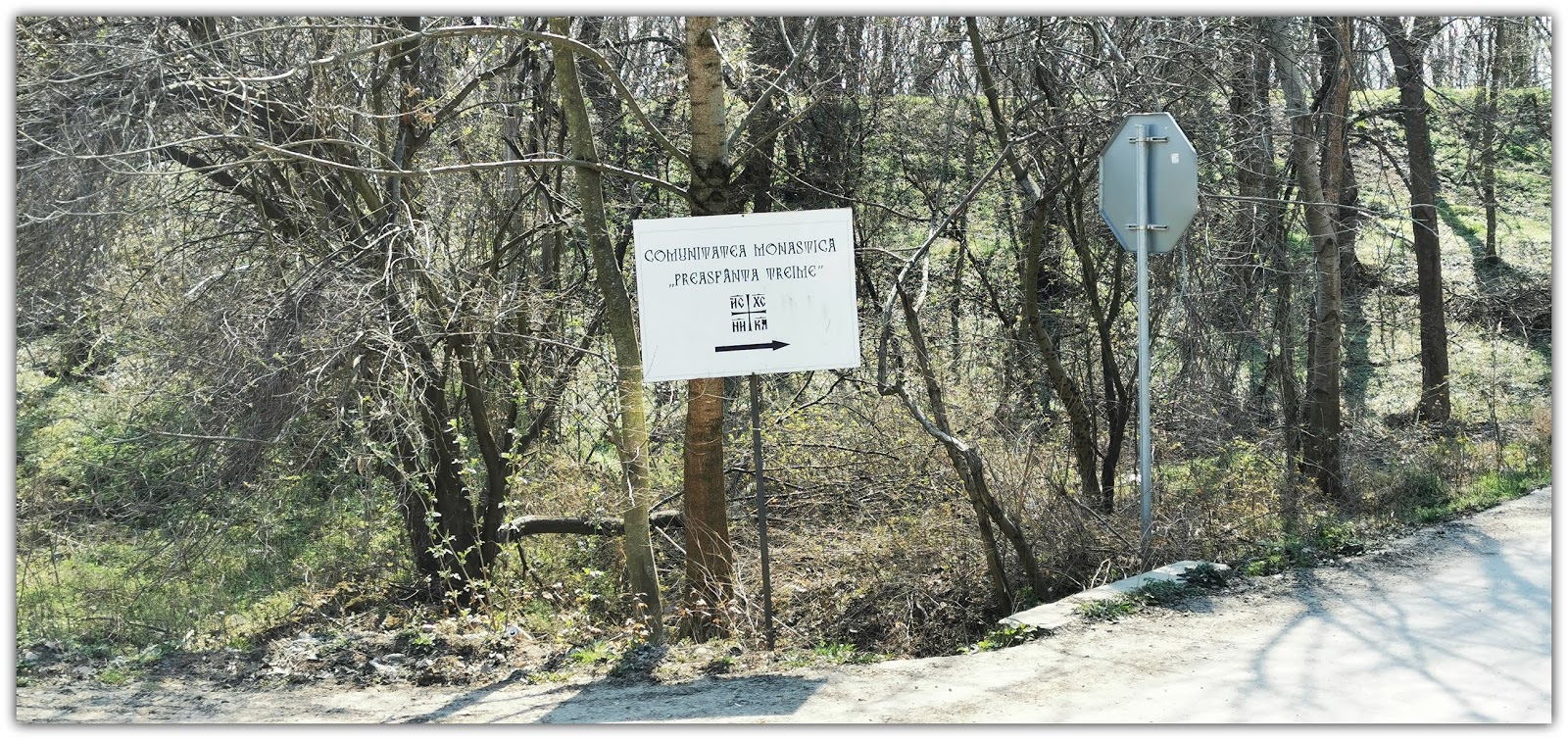 O zi plină de energie - Lunca Timisului