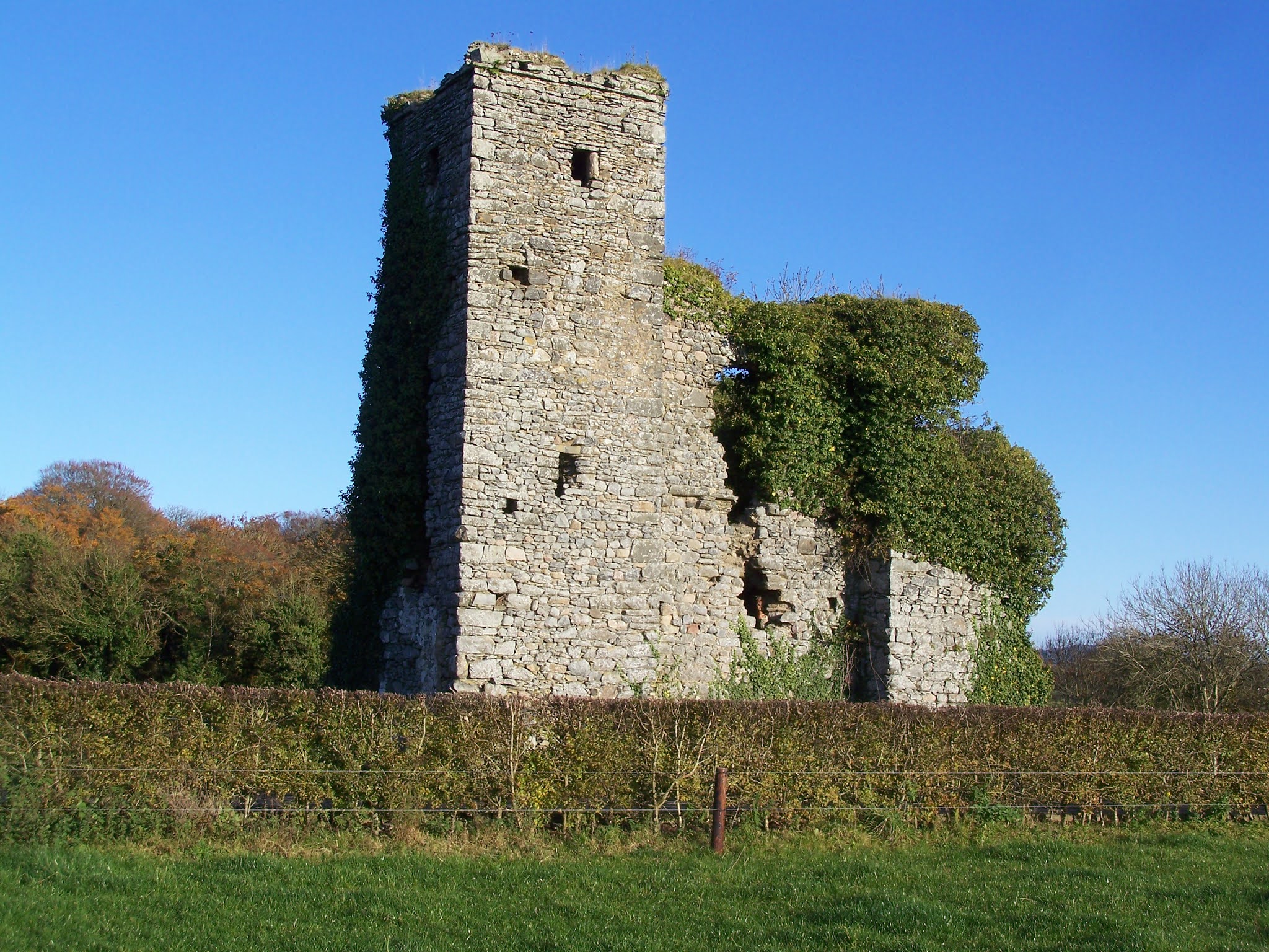 Irish Heraldry: Where in the County (11) Castles
