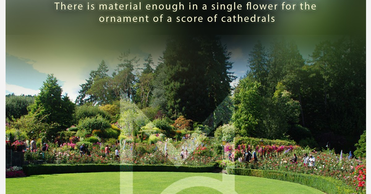 Economic reasons for landscaping | M-arch garden