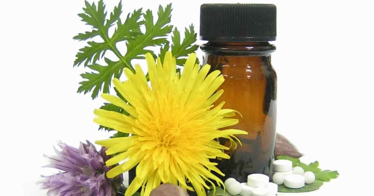 Top Medicinal Plants And Their Uses Health Beauty Informations top-medicinal-plants-and-their-uses-health-beauty-informations