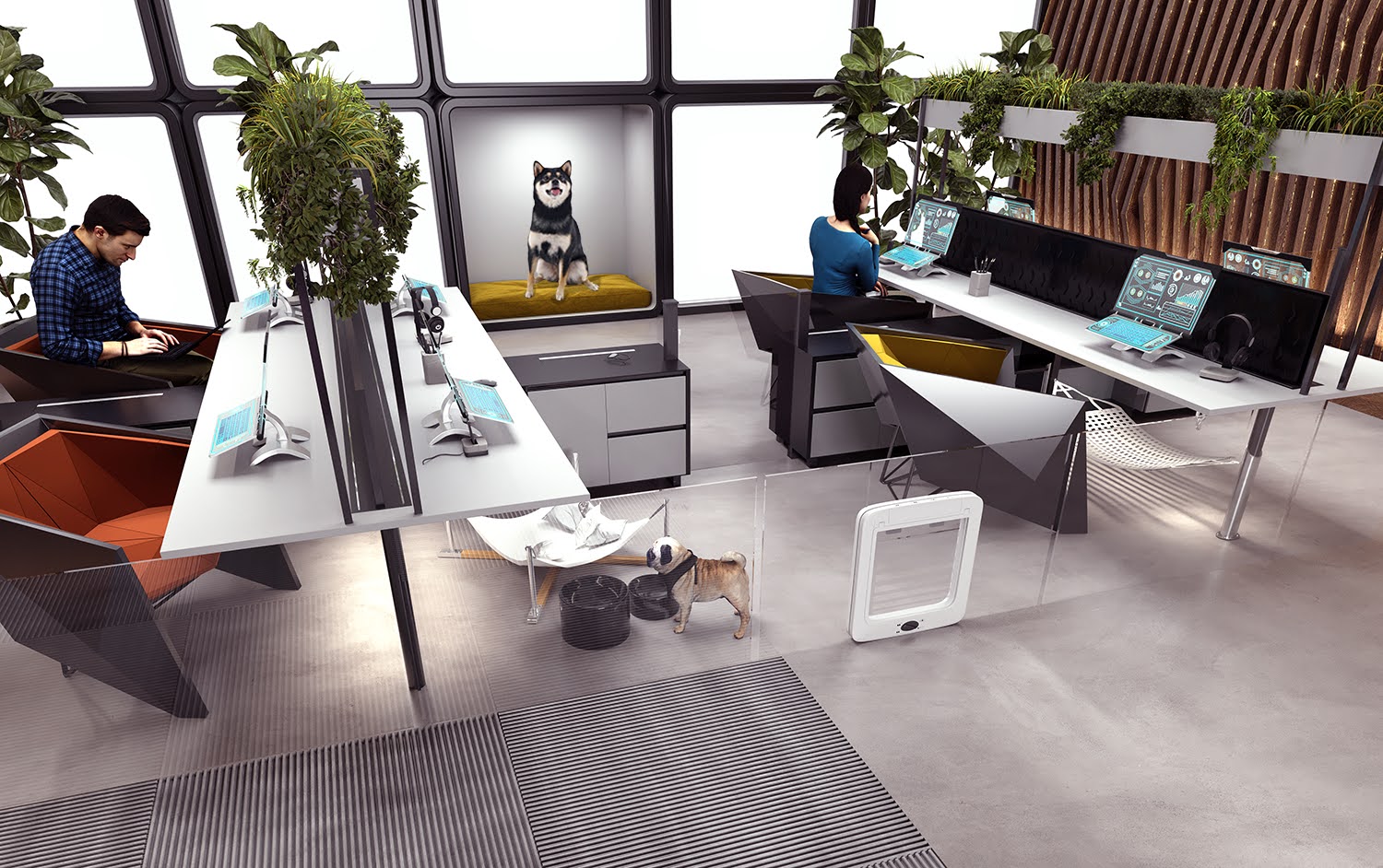 A Vision for Pet-Friendly Future Workplaces in Australia | Australian ...